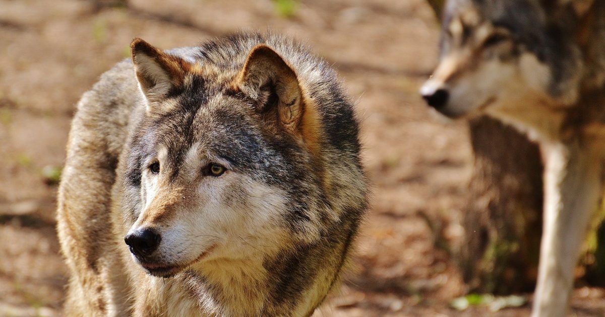 Juht või liider? - Mercuri International Estonia